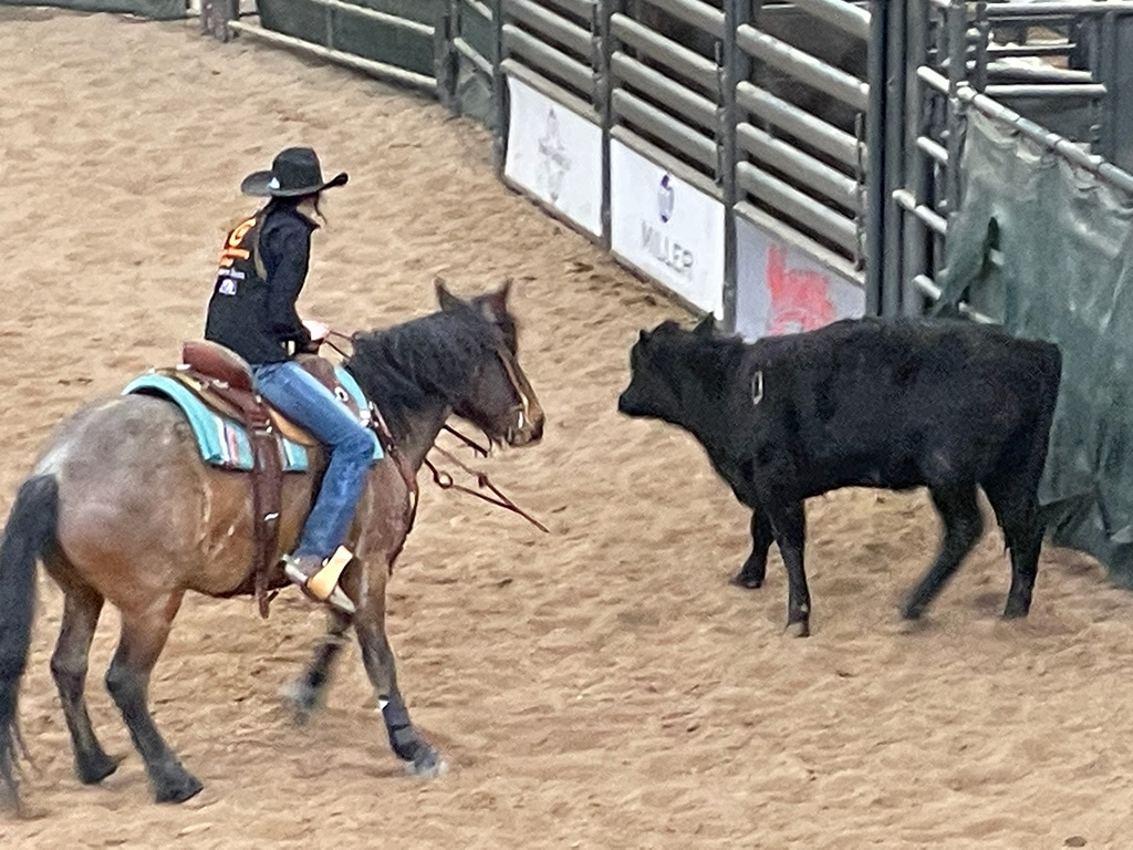 Ranch Horse Team 2023 LCCC Spring Roundup - Central Wyoming College